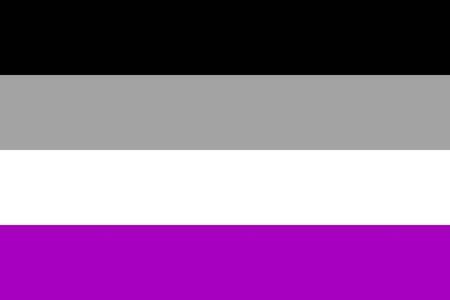 Flag - Asexual - 5ft | Weston-Super-Mare Pride CIC