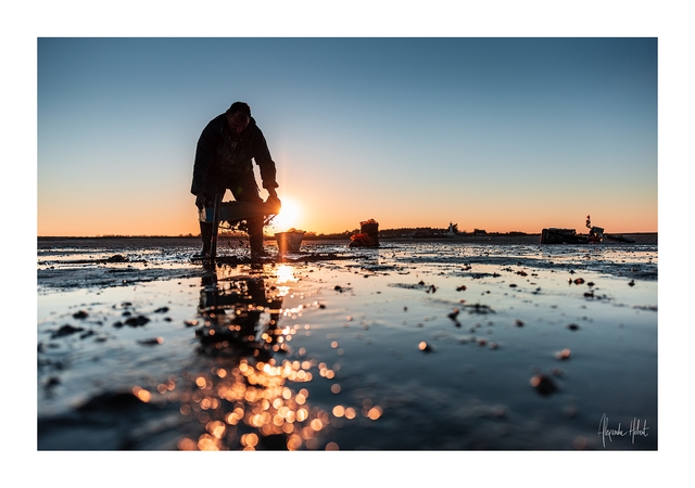 Livre Baie de Somme-Contrastes / Alexandre Hébert