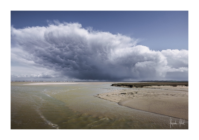 Livre Baie de Somme-Contrastes / Alexandre Hébert