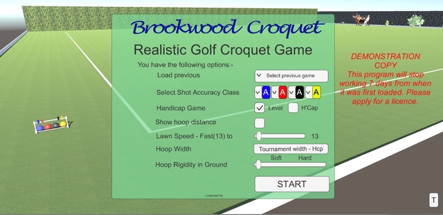 Virtual Golf Croquet Game