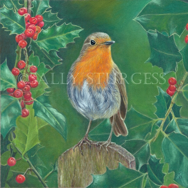 "Robin in Holly" 6x6" Original Pastel Painting Artwork