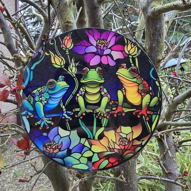 Frogs window wall door decor