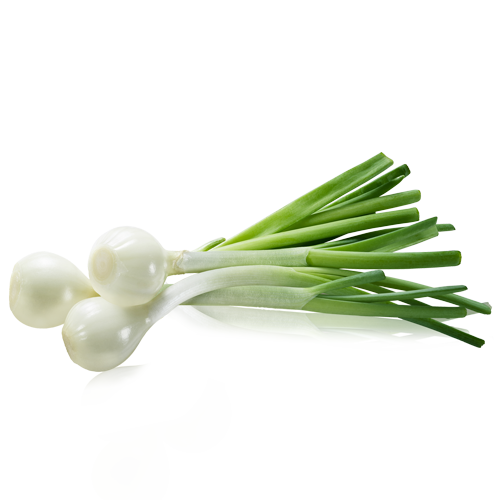 SPRING ONION LARGE
