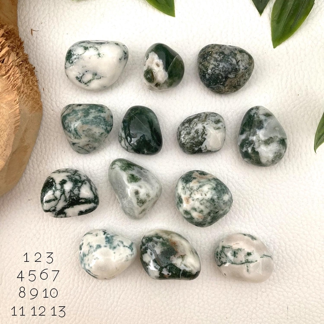 Agate arbre - Pierre roulée | Le Labo de Ryan