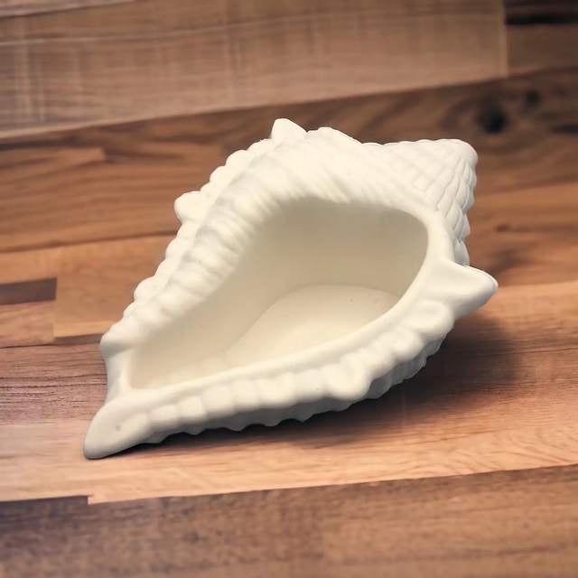 Handmade Conch Shell Dish - White