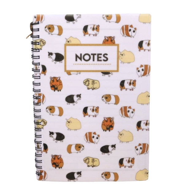A5 Lined Notebooks