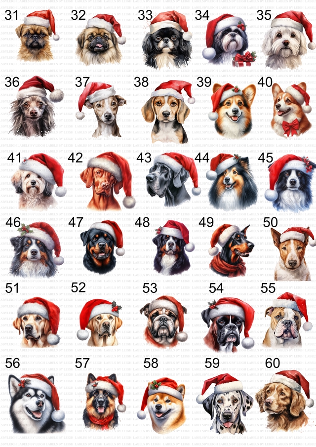 Personalised Dog Card