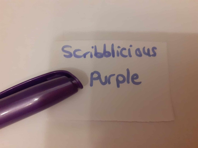 Zelebs in shed CHOOSE YOUR MARKER Scribblicious PURPLE