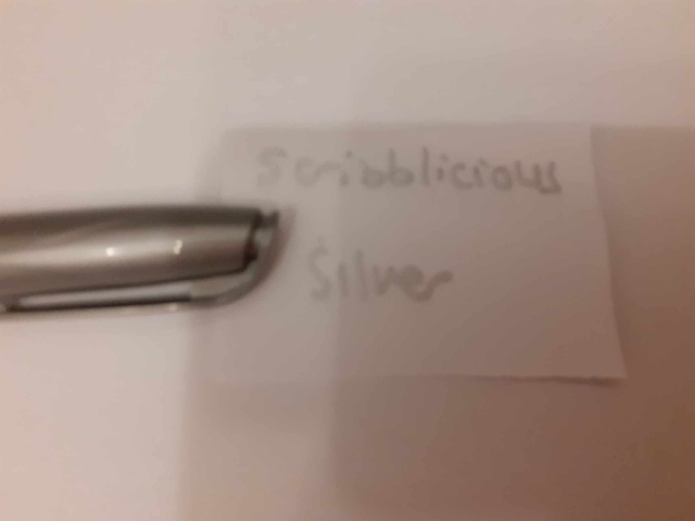 Zelebs in shed CHOOSE YOUR MARKER Scribblicious SILVER