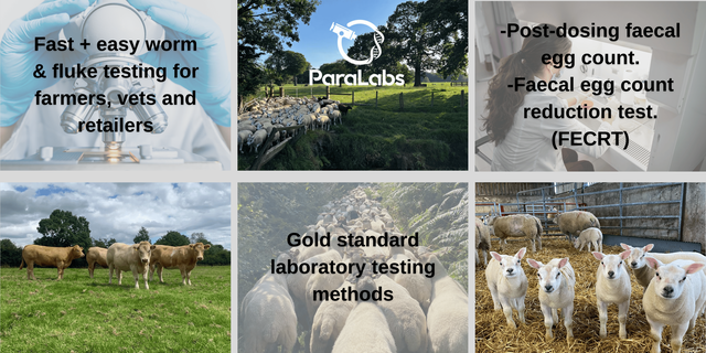 ParaLabs- Fluke & Worm testing Parasite- Cattle Sheep Horses