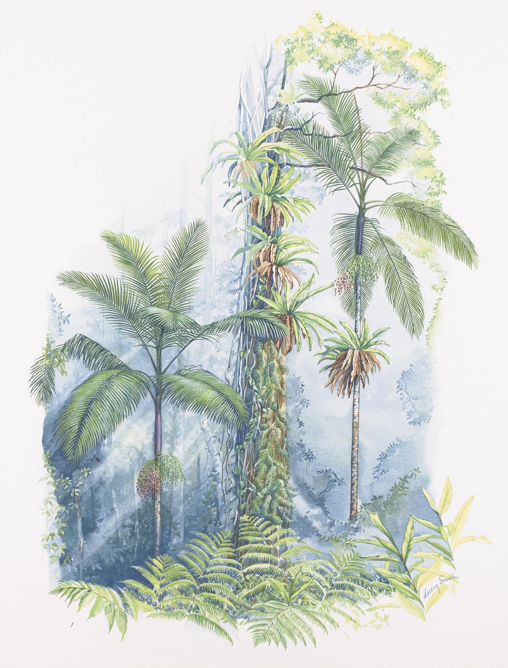 The Sunbury Gallery Online Store