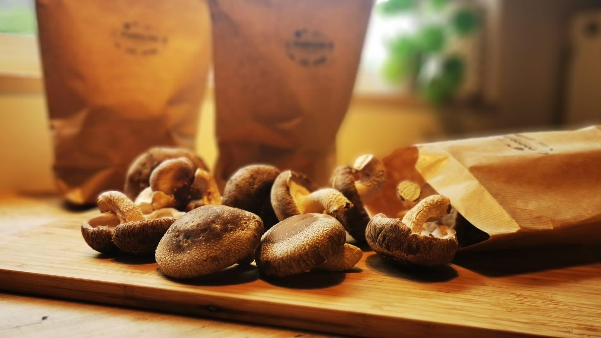 Padoo kweekt Buitengewone Paddenstoelen - Farm to Table