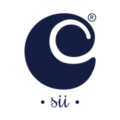 C-sii- Lab| Accessori HandMade