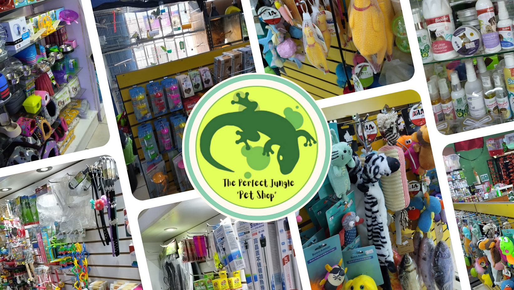 The Perfect Jungle Pet Shop