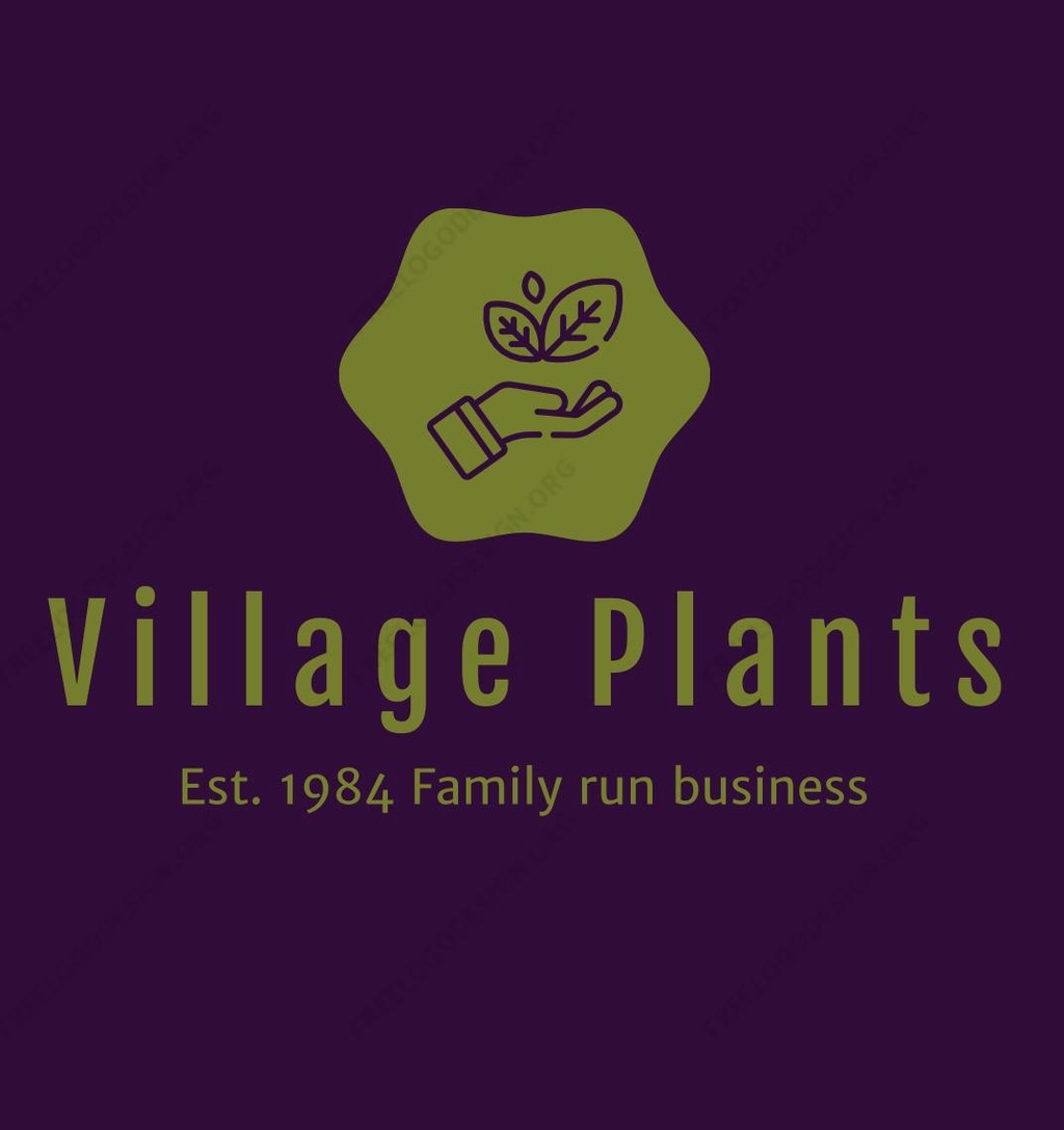 Village Plants - Denham