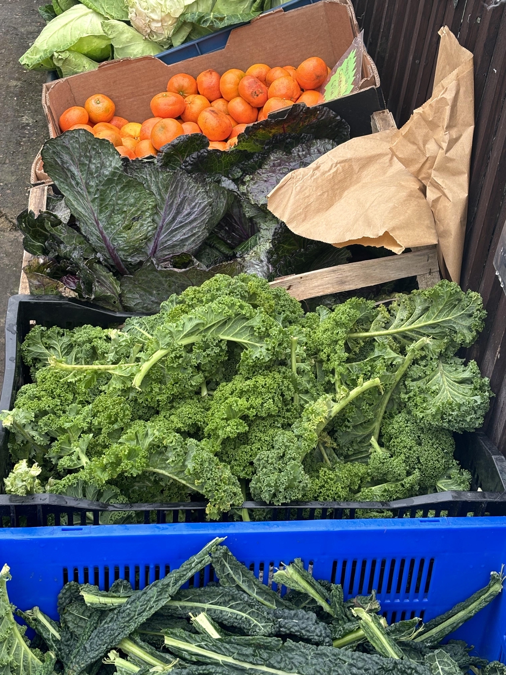 Village Plants - Denham