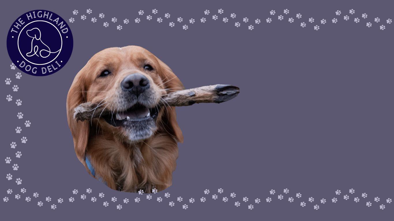 The Highland Dog Deli