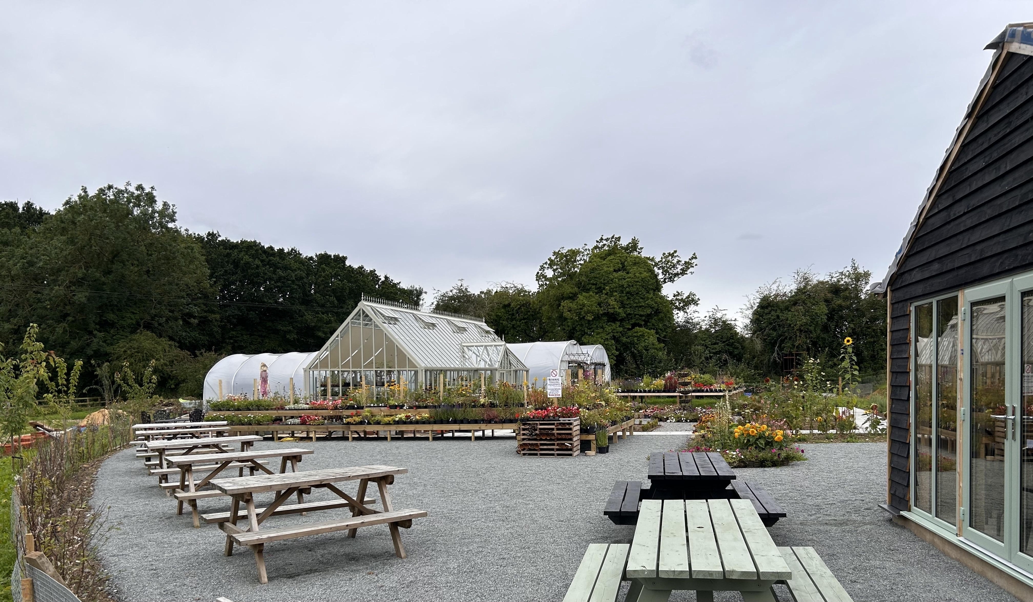 Dahlia Addiction at the Old Vineyard